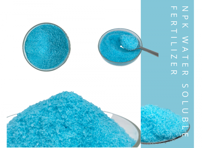 Blue Color 15 5 30 NPK Water Soluble Fertilizers Compound Fertilizer